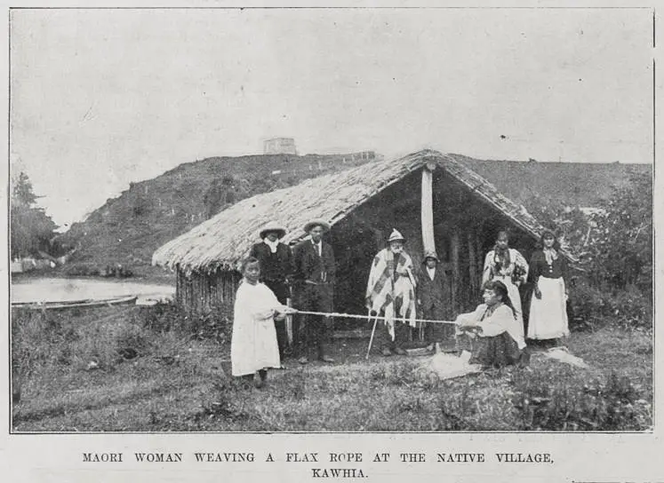 Maori woman weaving a flax rope at the native village, Kawhia | Record ...