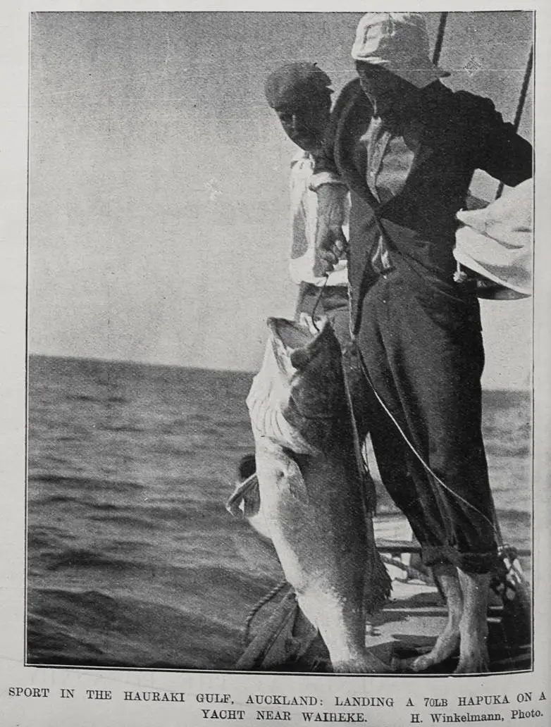 Sport in the Hauraki Gulf, Auckland landing a 70LB Hapuka on a yacht ...