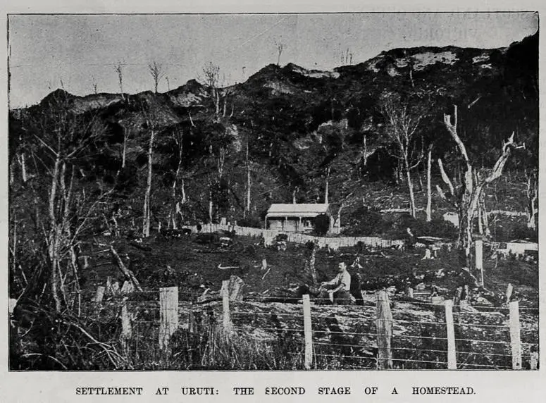 Settlement in the King Country: Scenes on the Waitara-Te-Kuiti Route ...
