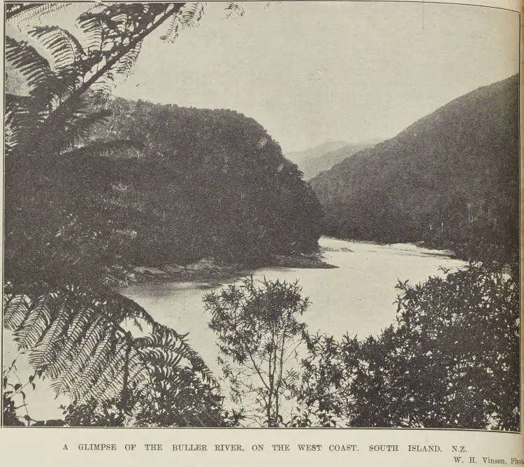 A GLIMPSE OF THE BULLER RIVER, ON THE WEST COAST. SOUTH ISLAND, N.Z ...
