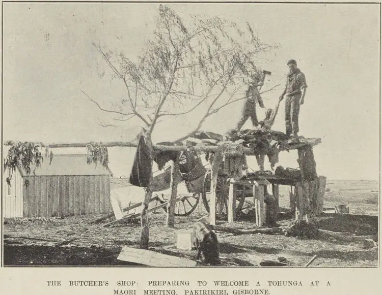 The butcher's shop: preparing to welcome a tohunga at a Māori meeting ...