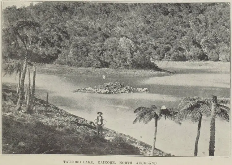 Tautoro Lake, Kaikohe, North Auckland | Record | DigitalNZ