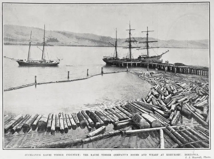 AUCKLAND'S KAURI TIMBER INDUSTRY: THE KAURI TIMBER COMPANY'S BOOMS AND ...