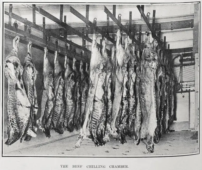 THE BEEF CHILLING CHAMBER | Record | DigitalNZ