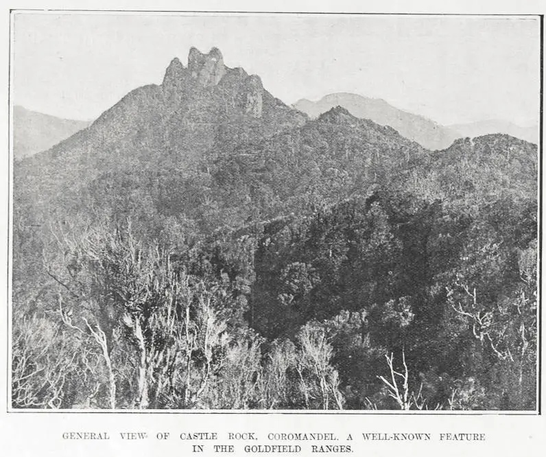 General view of Castle Rock, Coromandel | Record | DigitalNZ