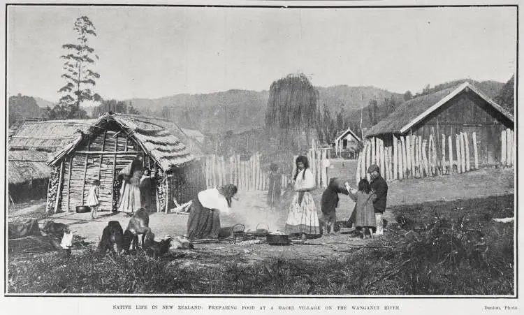 NATIVE LIFE IN NEW ZEALAND: PREPARING FOOD AT A MAORI VILLAGE ON THE ...