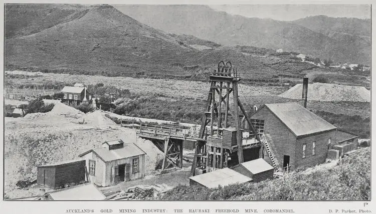 AUCKLAND'S GOLD MINING INDUSTRY: THE HAURAKI FREEHOLD MINE, COROMANDEL ...
