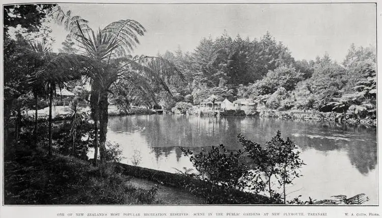 ONE OF NEW ZEALAND'S MOST POPULAR RECREATION RESERVES: SCENE IN THE ...