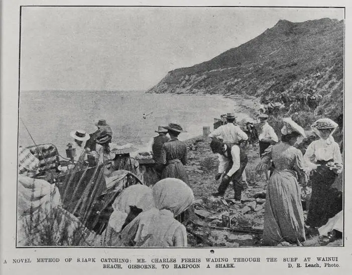 A NOVEL METHOD OF SHARK CATCHING: MR. CHARLES FERRIS WADING THROUGH THE ...