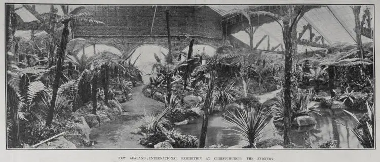 NEW ZEALAND'S INTERNATIONAL EXHIBITION AT CHRISTCHURCH: THE FERNERY ...