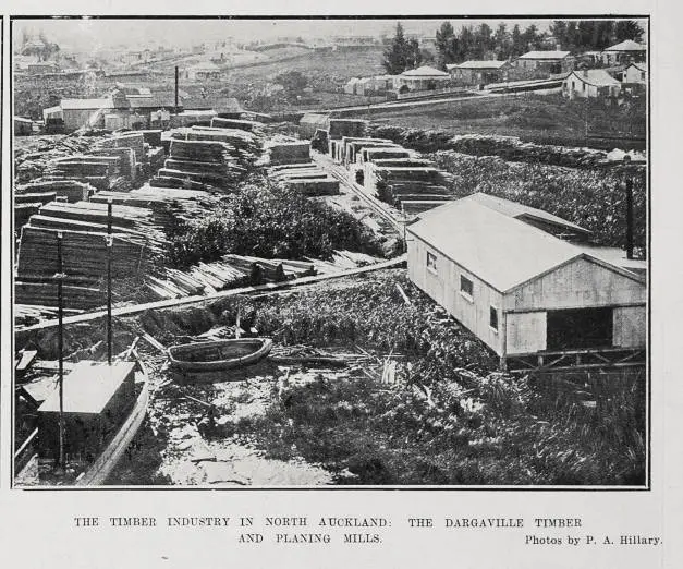 The Timber Industry In North Auckland | Record | DigitalNZ