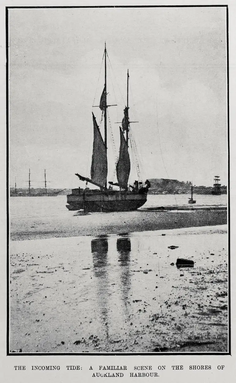 The incoming tide | Record | DigitalNZ