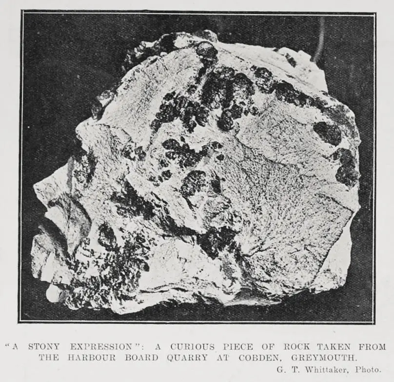 'A stony expression' | Record | DigitalNZ