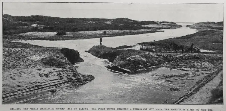 Draining The Great Rangitaiki Swamp, Bay Of Plenty | Record | DigitalNZ