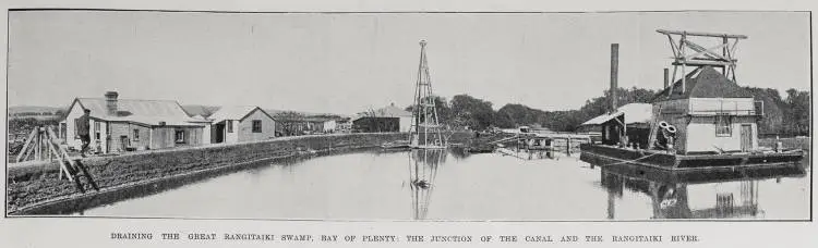 Draining The Great Rangitaiki Swamp. Bay Of Plenty | Record | DigitalNZ