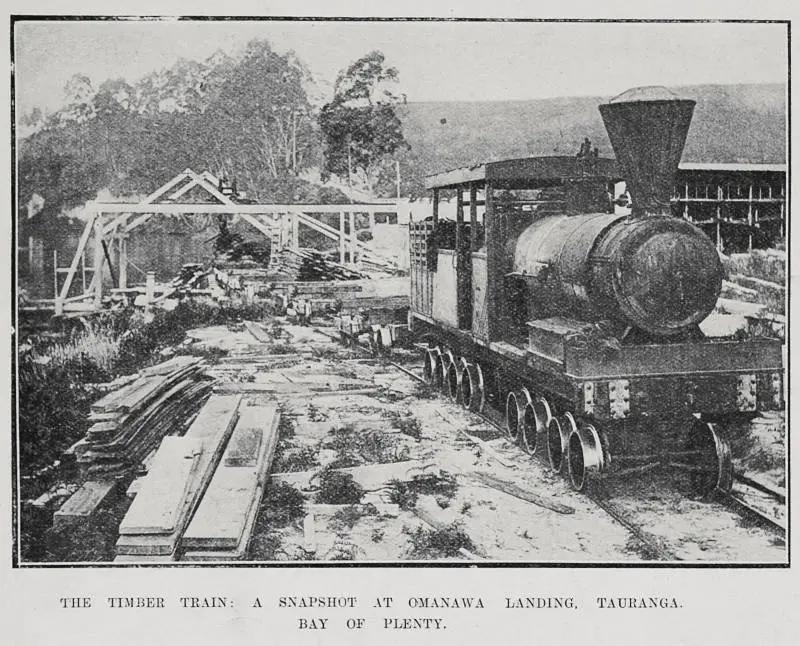 The timber train | Record | DigitalNZ