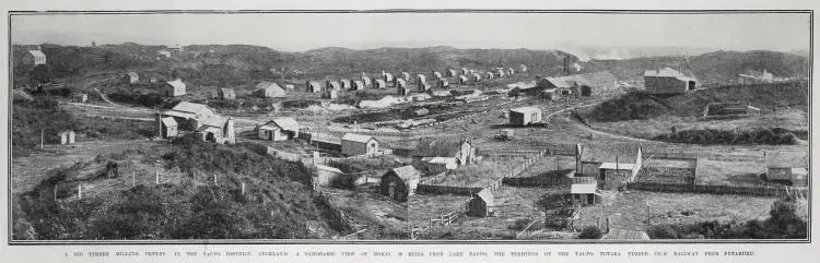 A big timber milling centre in the Taupo District, Auckland | Record ...