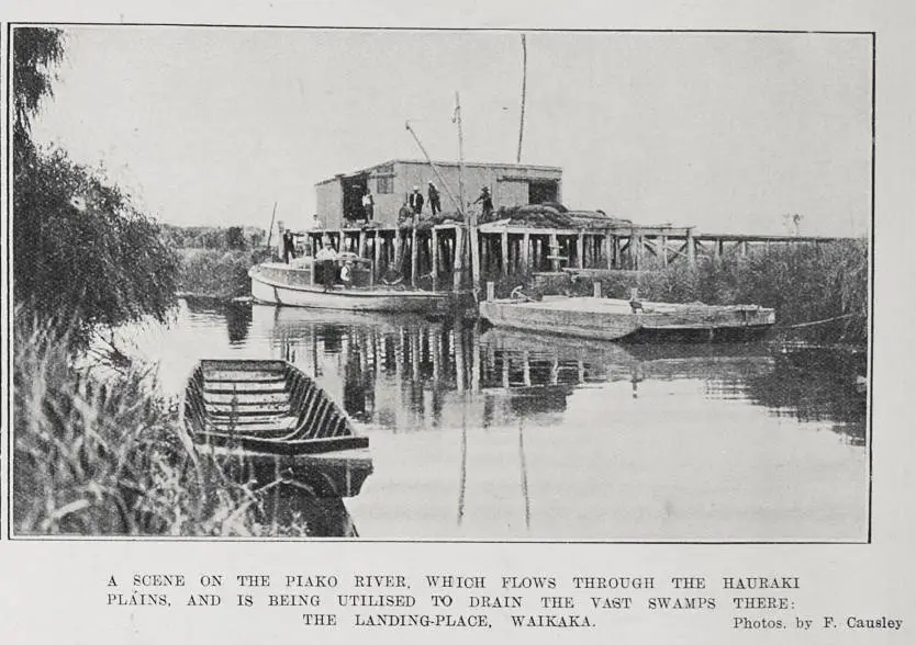 A scene on the Piako River, which flows through the Hauraki plains, and ...