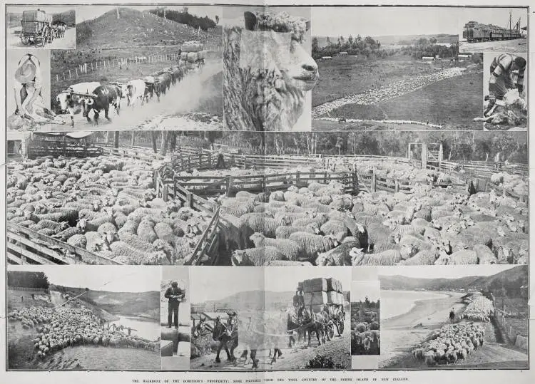 The backbone of the Dominion's prosperity | Record | DigitalNZ