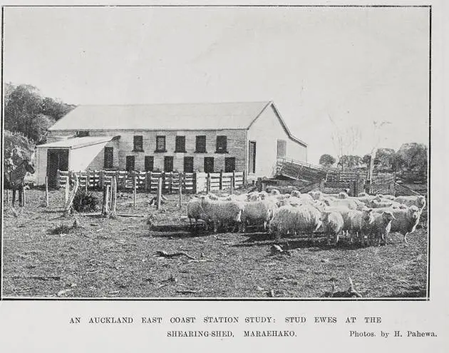 An Auckland East Coast Station Study | Record | DigitalNZ