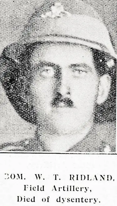 Bombardier W. T. Ridland, Field Artillery, died of dysentery | Record ...