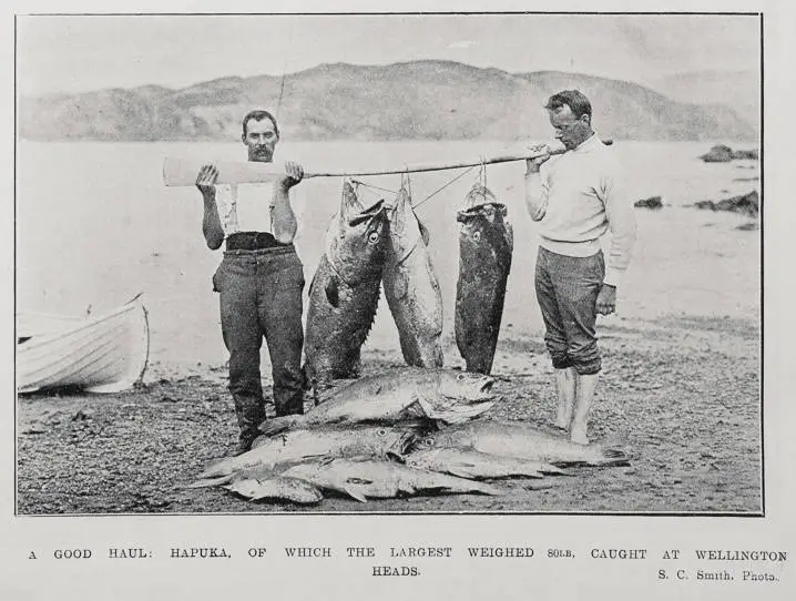 A good haul: hapuka, of which the largest weighed 80lb, caught at ...