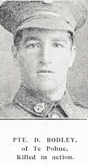 Pte D Bodley of Te Pohue, killed in action | Record | DigitalNZ