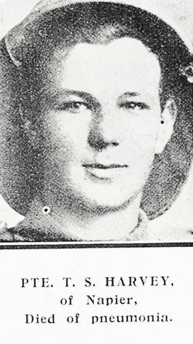 Pte. T. S. Harvey, of Napier, died of pneumonia | Record | DigitalNZ