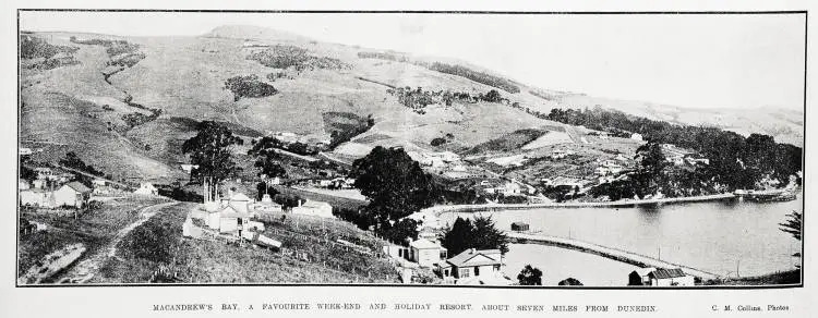 Macandrew's Bay. a favourite week-end and holiday resort. about seven ...