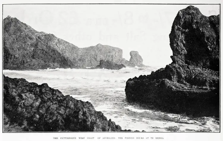 The picturesque west coast of Auckland: the fishing rocks at Te Henga ...