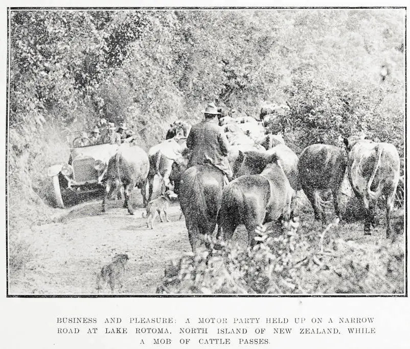 Business and pleasure: a motor party held up on a narrow road at Lake ...