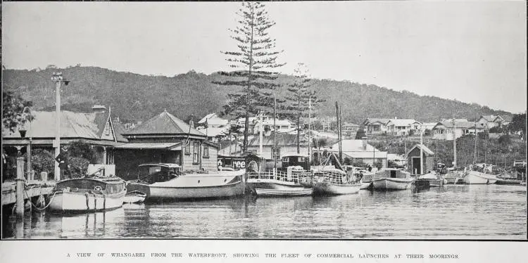 A view of Whangarei from the waterfront | Record | DigitalNZ
