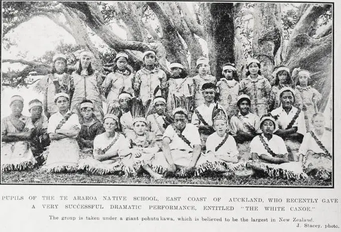 Pupils of the Te Araroa Native School, East Coast of Auckland | Record ...