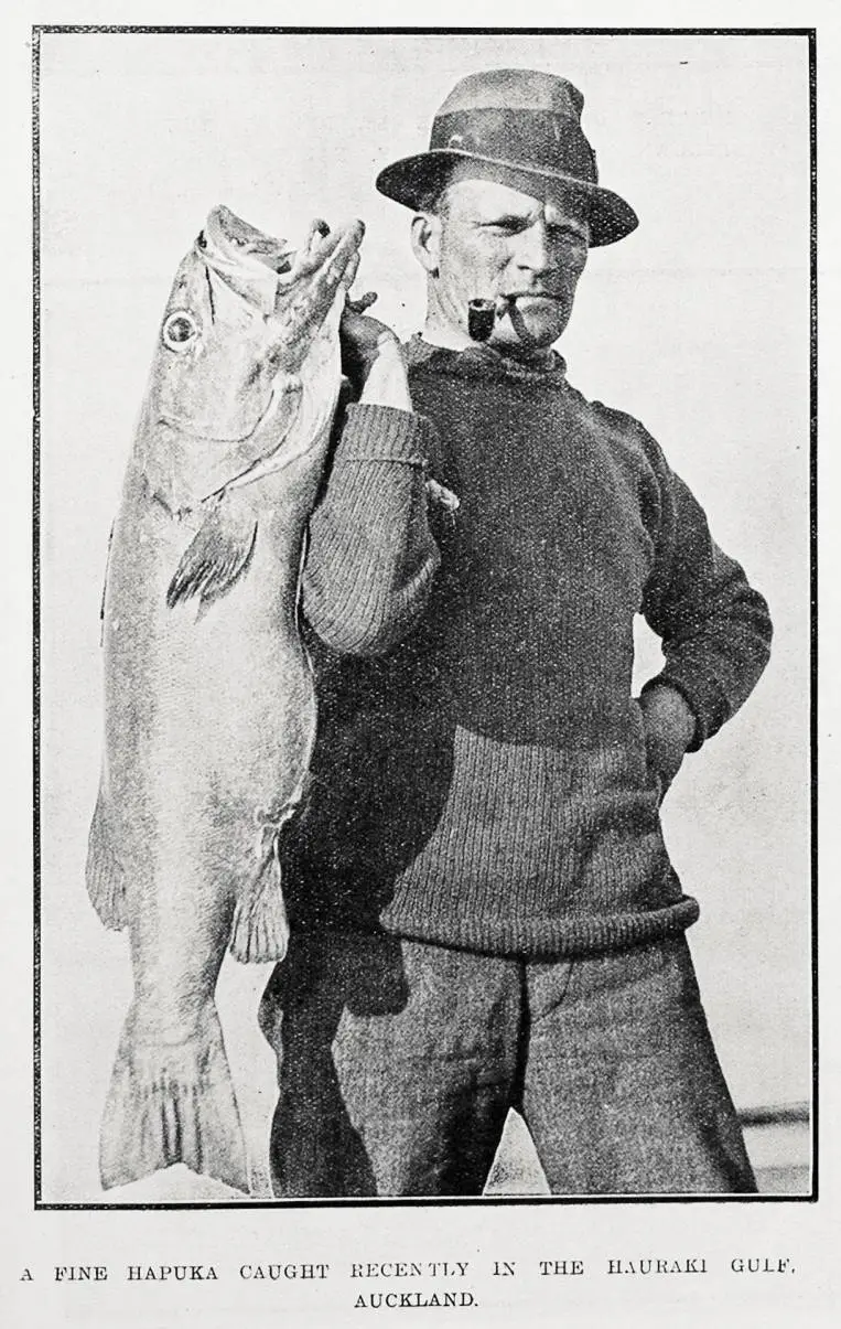 A fine hapuka caught recently in the Hauraki Gulf, Auckland | Record ...