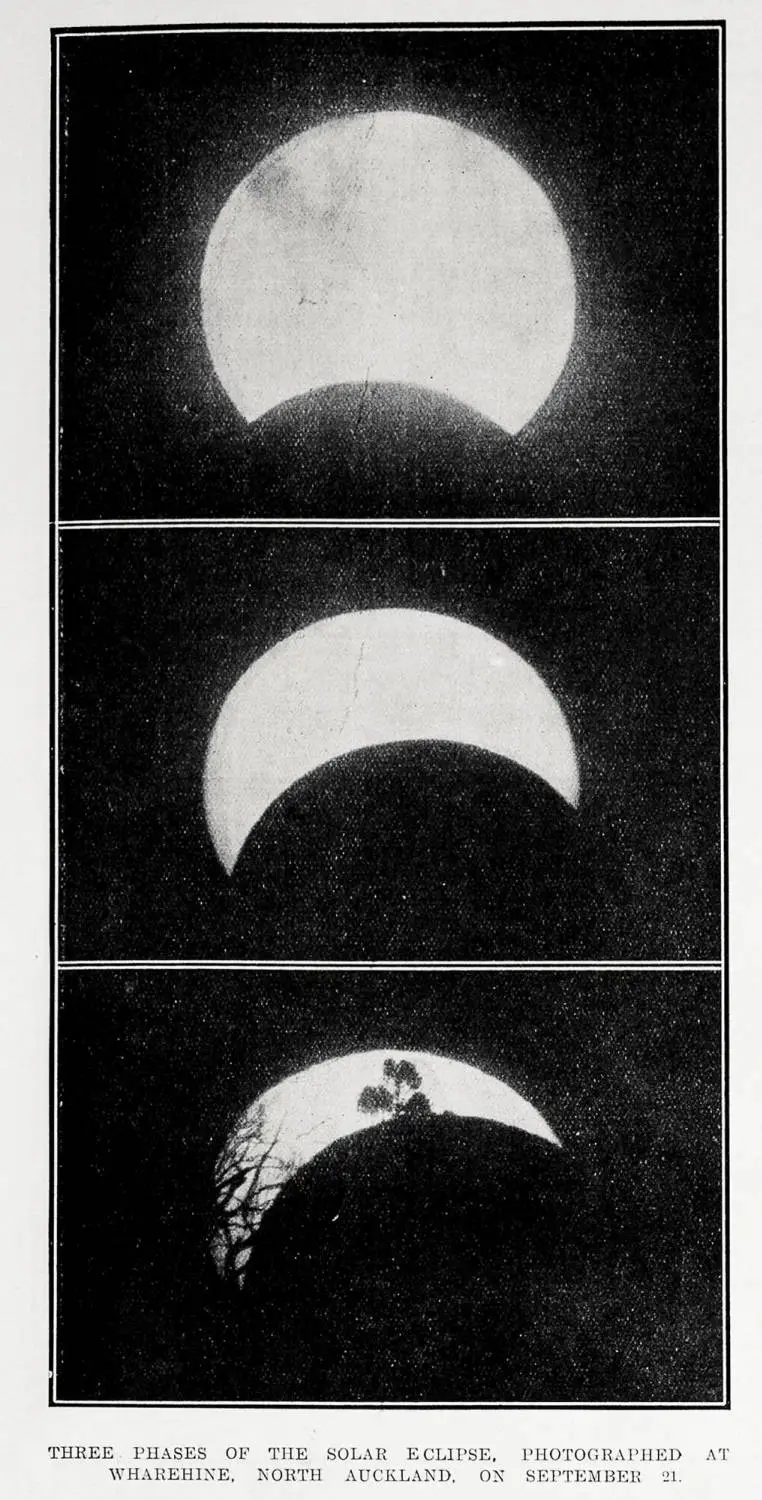Three phases of the solar eclipse, photographed at Wharehine, North ...