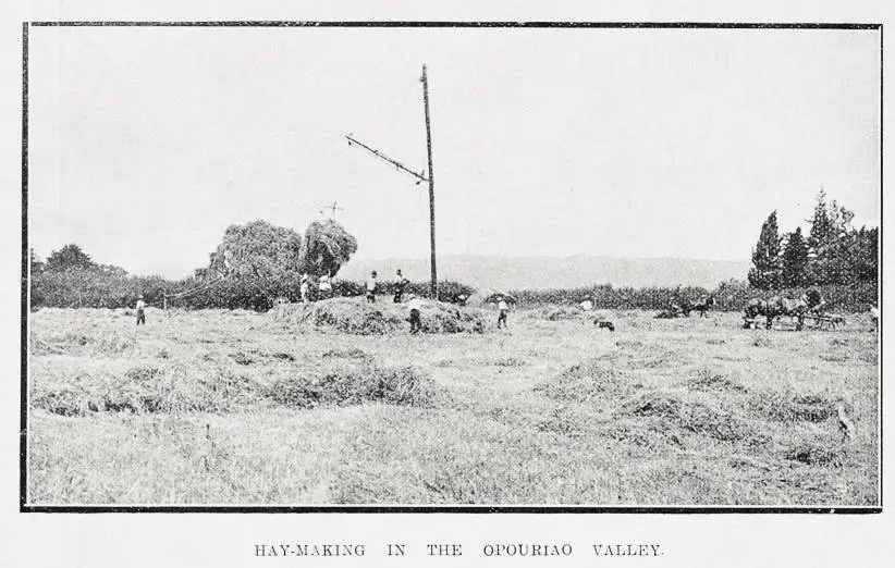 Hay-making in the Opouriao Valley | Record | DigitalNZ