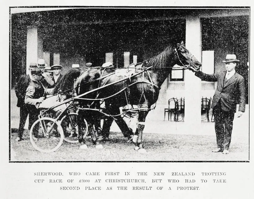 Sherwood, who came first in the New Zealand Trotting Cup race of £3000 ...