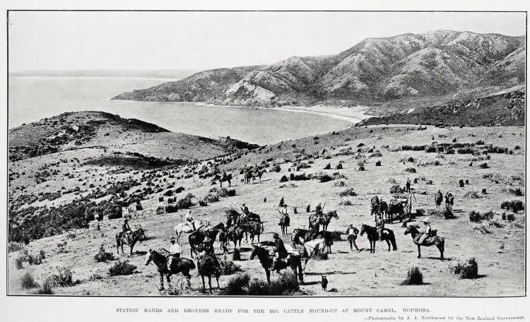 Station Hands and Drovers Ready for the Big Cattle Round-Up At Mount ...