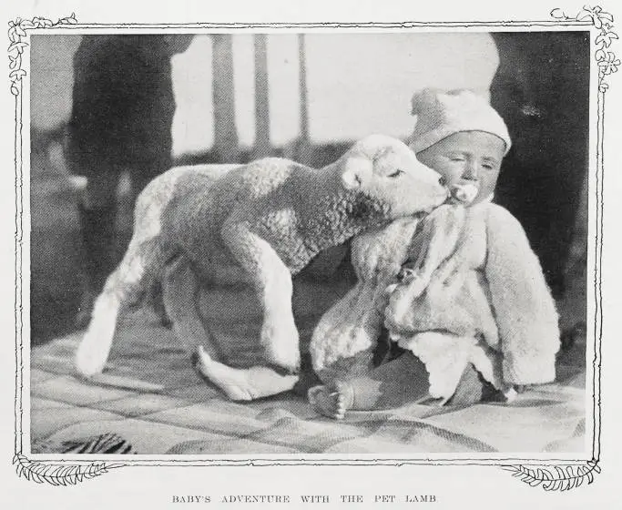 Baby's Adventure With Pet Lamb | Record | DigitalNZ