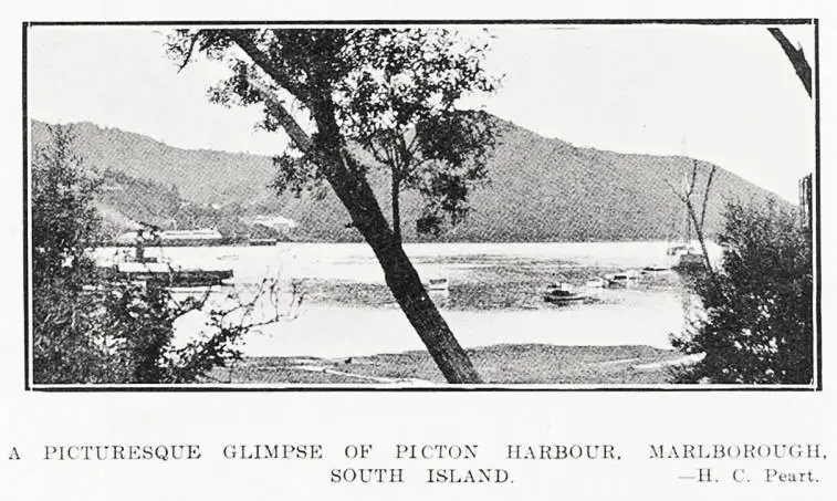 A Picturesque Glimpse Of Picton Harbour, Marlborough, South Island ...
