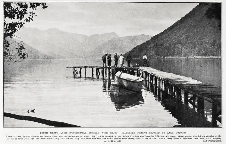 South Island Lake Successfully Stocked With Trout: Excellent Fishing ...