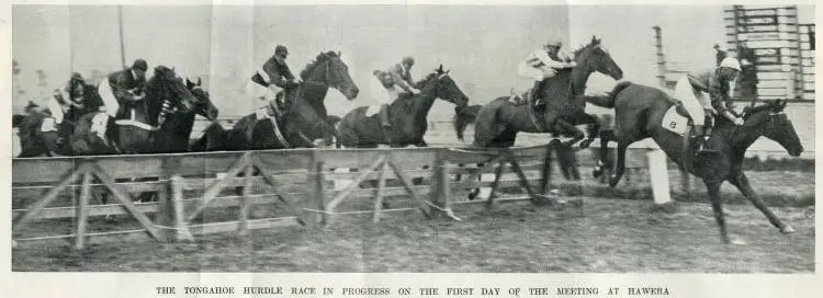 The Tongahoe hurdle race in progress on the first day of the meeting at ...