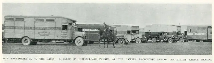 How racehorses go to the races: a fleet of horse-floats parked at the ...