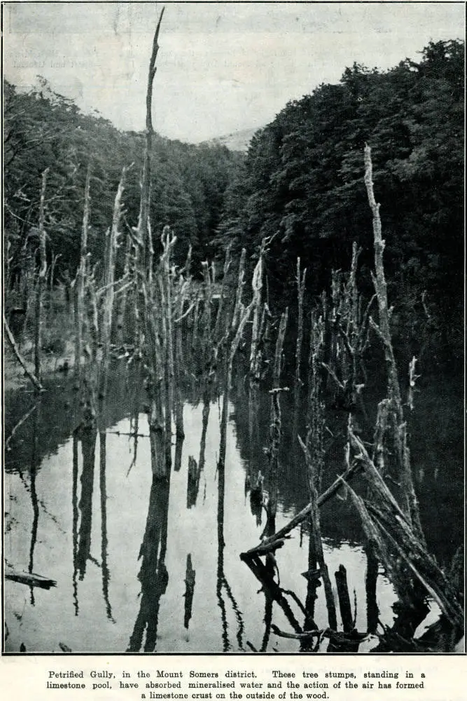 Petrified gully, in the Mount Somers district | Record | DigitalNZ