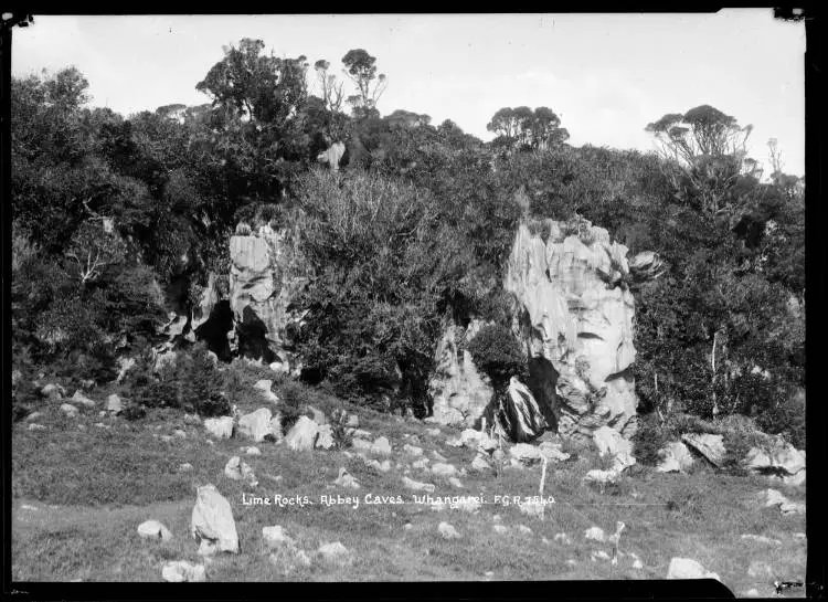 Lime Rocks, Abbey Caves, Whangarei | Record | DigitalNZ