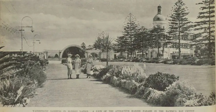 Waterfront gardens in modern Napier: a view of the attractive Marine ...