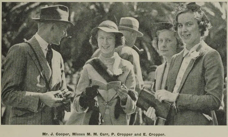 Auckland Racing Club's spring meeting: racing and racegoers on the ...