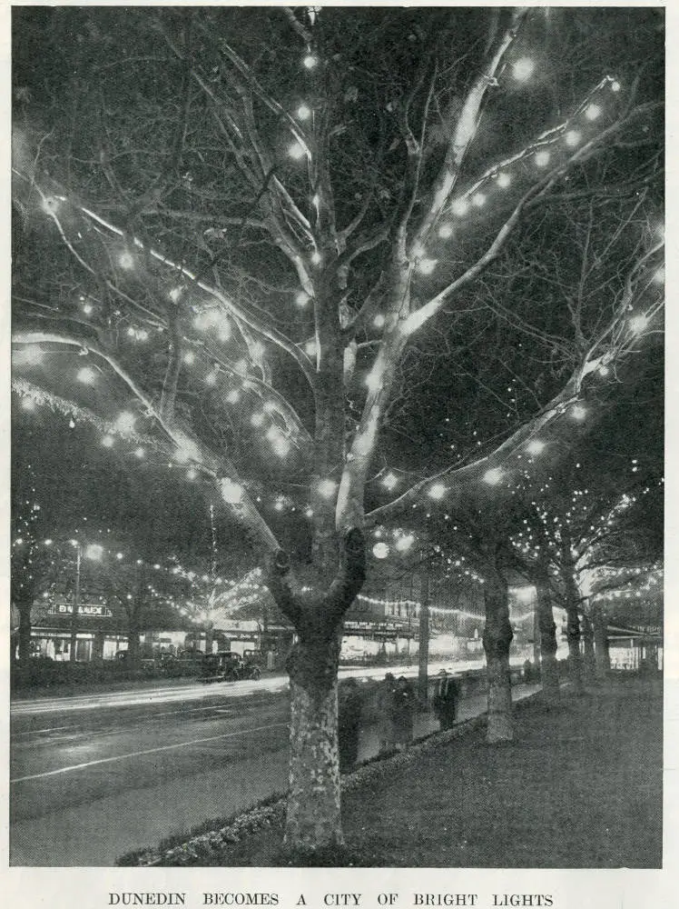 Dunedin becomes a city of bright lights | Record | DigitalNZ