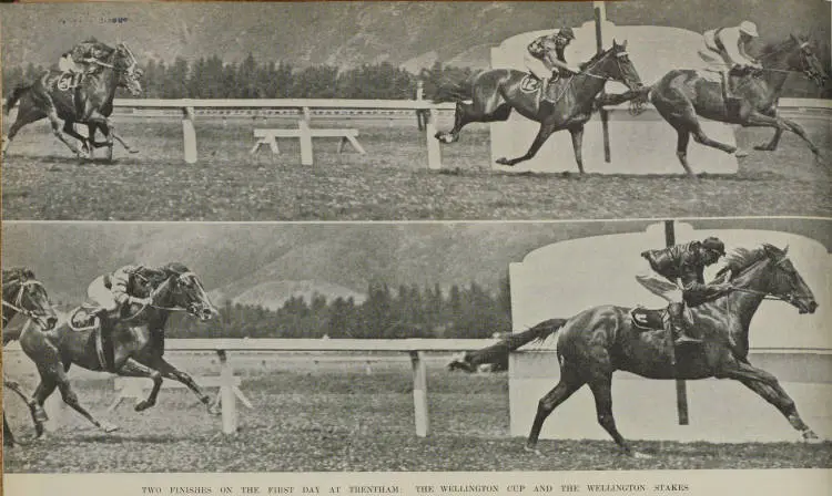 Two finishes on the first day at Trentham: the Wellington Cup and the ...