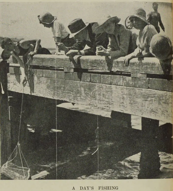 A day's fishing | Record | DigitalNZ